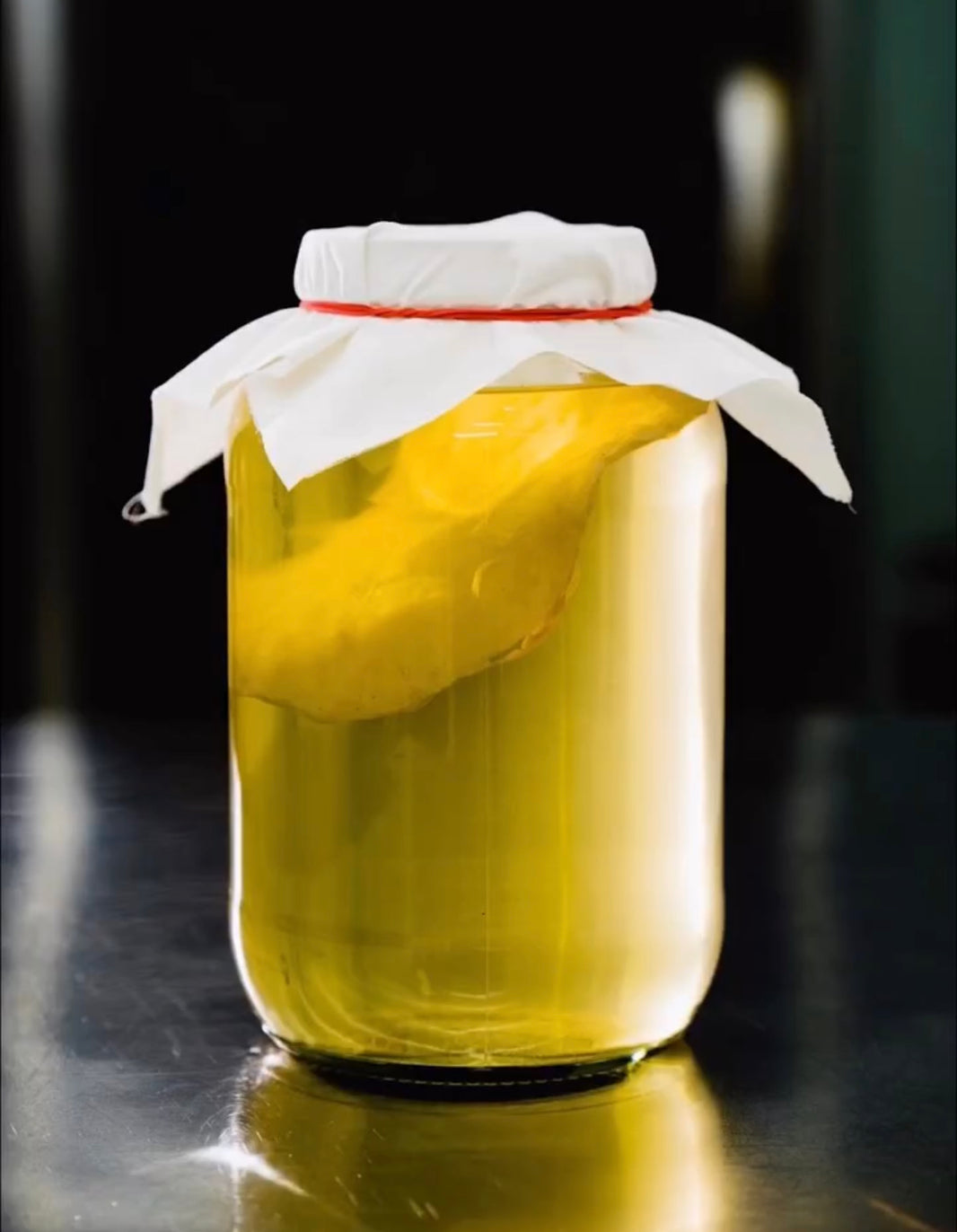 RISH KOMBUCHA
